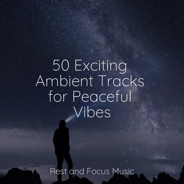 50 Exciting Ambient Tracks for Peaceful Vibes by Meditation Relaxation ...
