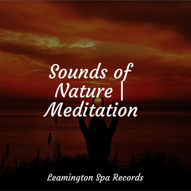 Sounds of Nature | Meditation by The White Noise Zen & Meditation Sound ...
