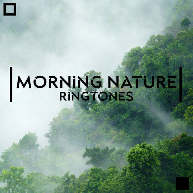 Morning Nature Ringtones: Wake Up in a Tropical Forest by Natural ...