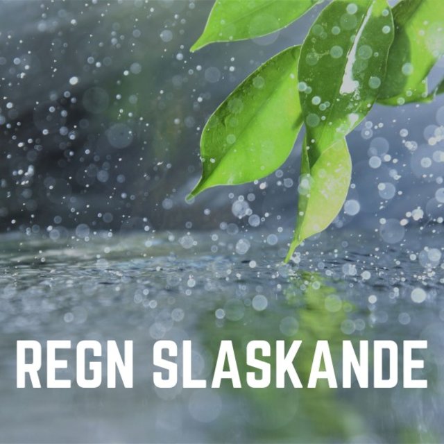 Regn Slaskande by Regnskur on TIDAL