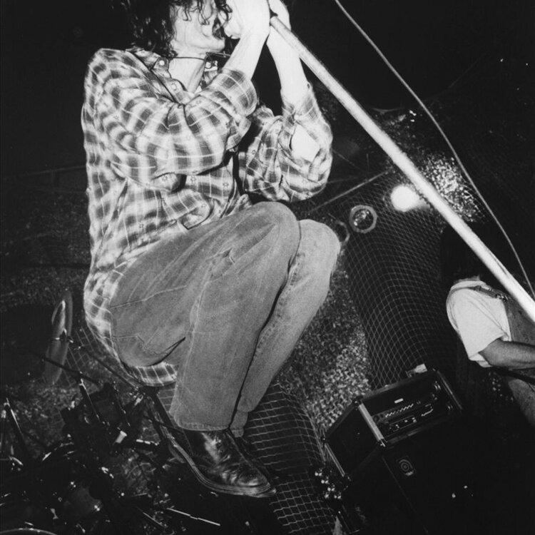 Steve Taylor on TIDAL