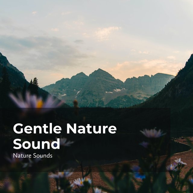 Gentle Nature Sound by Nature Sounds, Sleep Sounds of Nature & Nature ...