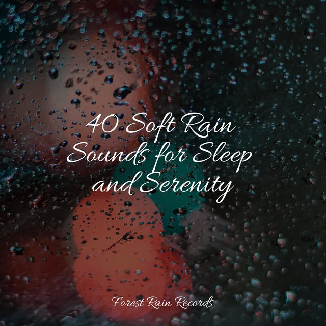 40 Soft Rain Sounds for Sleep and Serenity by Sons da Natureza Relax on ...