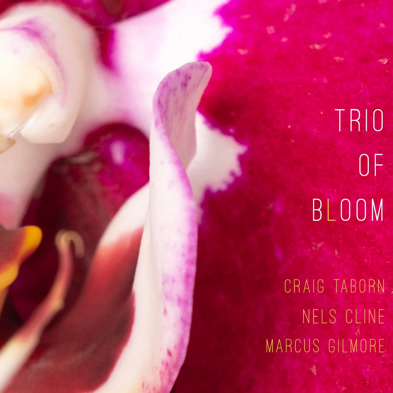 Trio of Bloom by Trio of Bloom, Nels Cline, Craig Taborn & Marcus ...