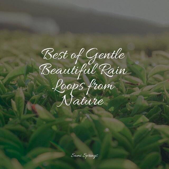 Best of Gentle Beautiful Rain Loops from Nature by Rain Sounds & White ...