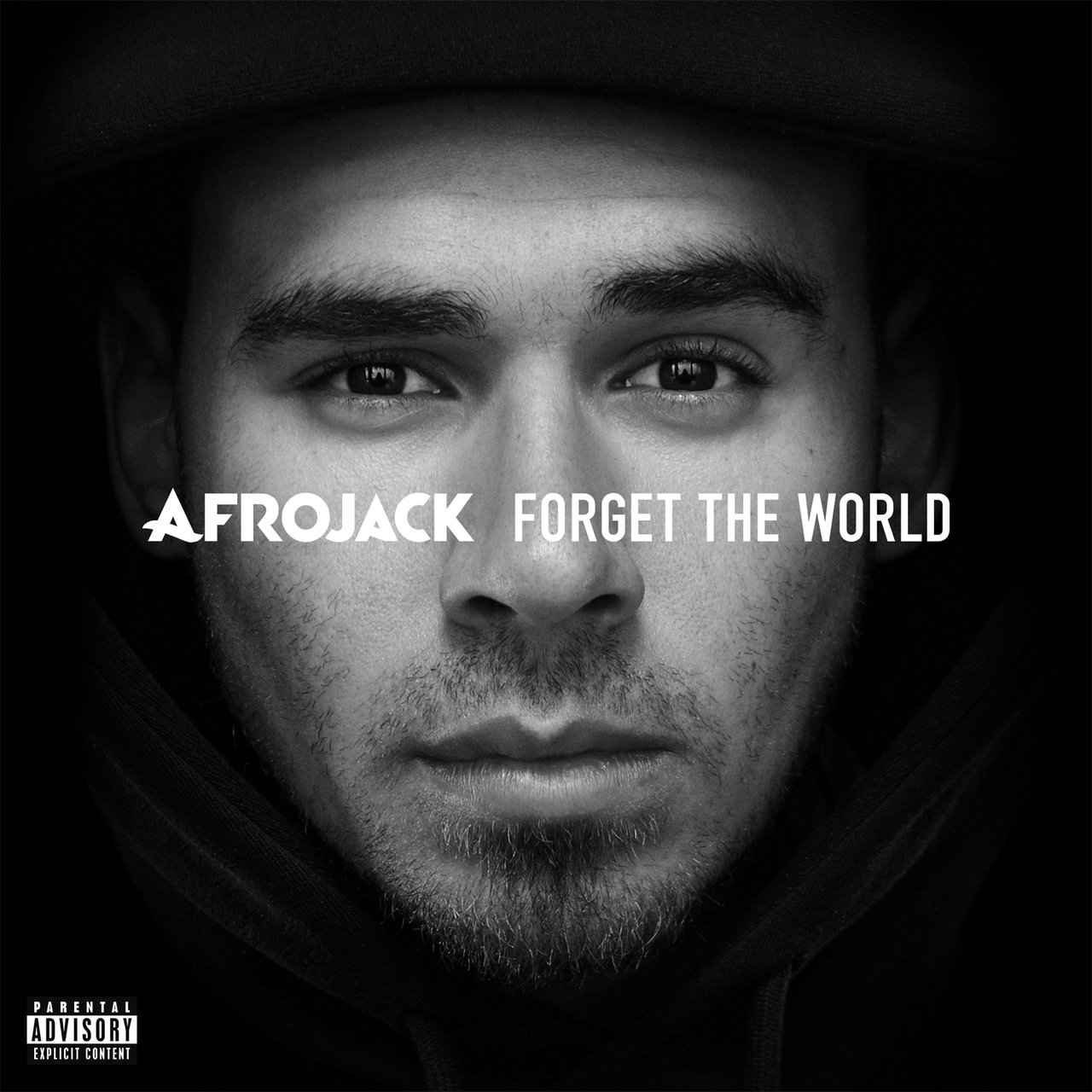 Afrojack Forget The World Vinyl