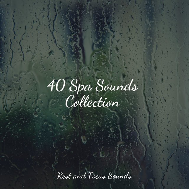 40 Spa Sounds Collection by Tranquility Spa Universe on TIDAL