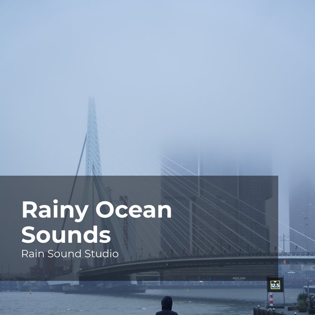 Rainy Ocean Sounds by Rain Sound Studio on TIDAL