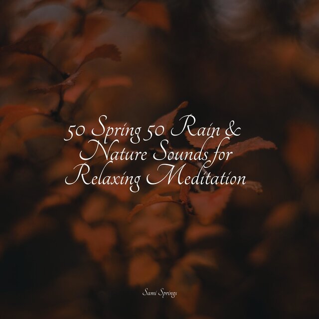 50 Spring 50 Rain & Nature Sounds for Relaxing Meditation by Nature ...