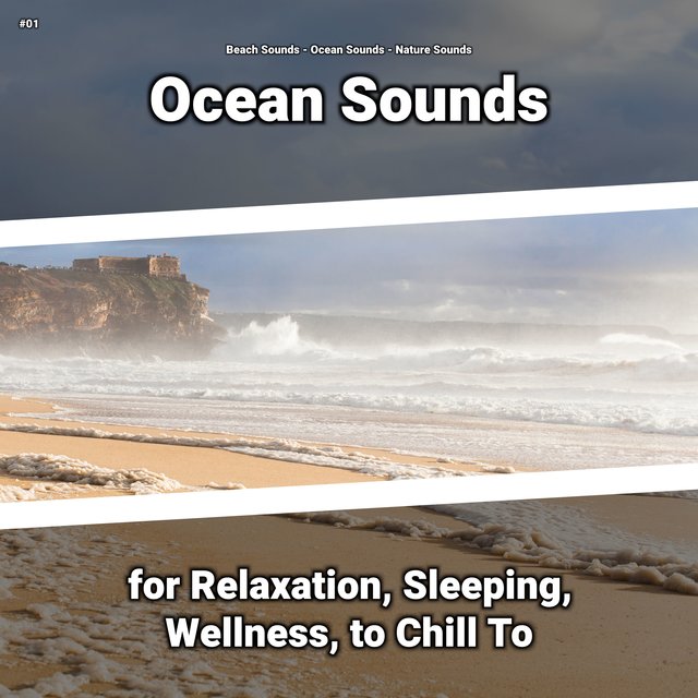 Ocean Waves by Beach Sounds on TIDAL