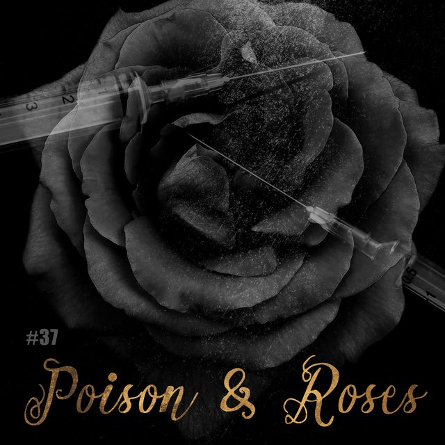 Poison And Roses by Boy George on TIDAL