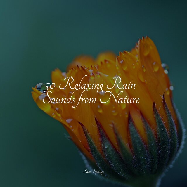 50 Relaxing Rain Sounds from Nature by White Noise Nature Sounds Baby ...