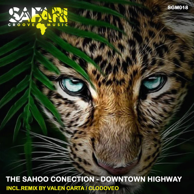 Downtown Highway by The Sahoo Conection on TIDAL
