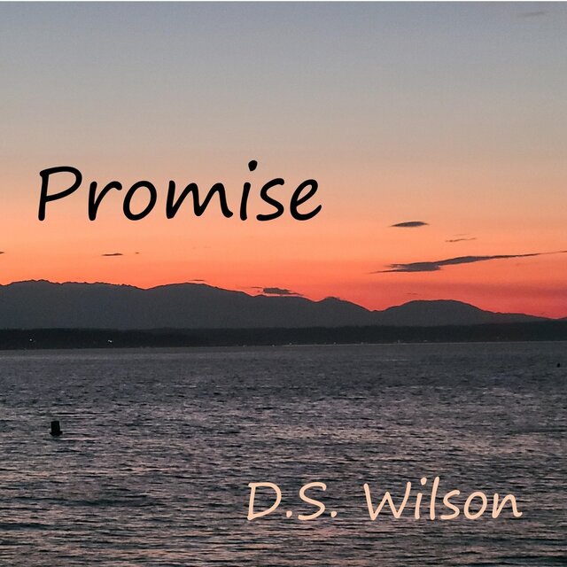 Promise by D.S. Wilson on TIDAL