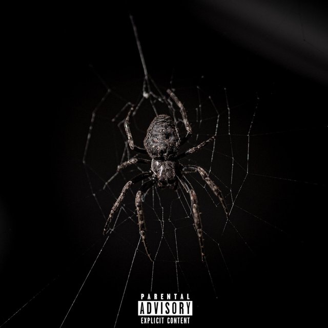 WASTE OF LIFE (feat. Netuh) by Vice Rocki on TIDAL