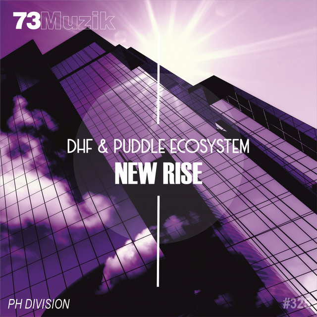 New Rise by DHF & Puddle EcoSystem on TIDAL