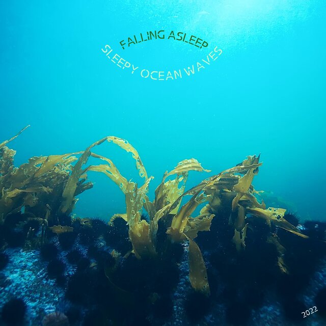 Falling Asleep by Sleepy Ocean Waves on TIDAL