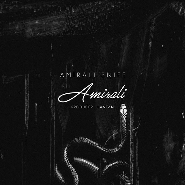 AmirAli by Amirali Sniff on TIDAL