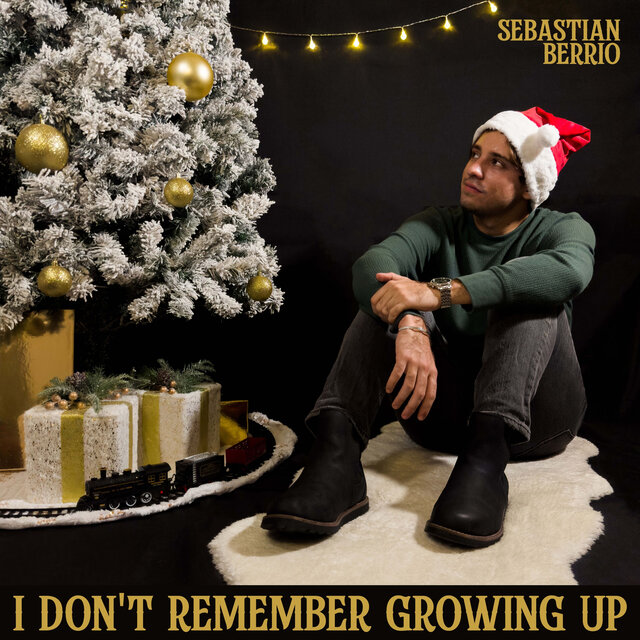 I Don't Remember Growing Up by Sebastian Berrio on TIDAL