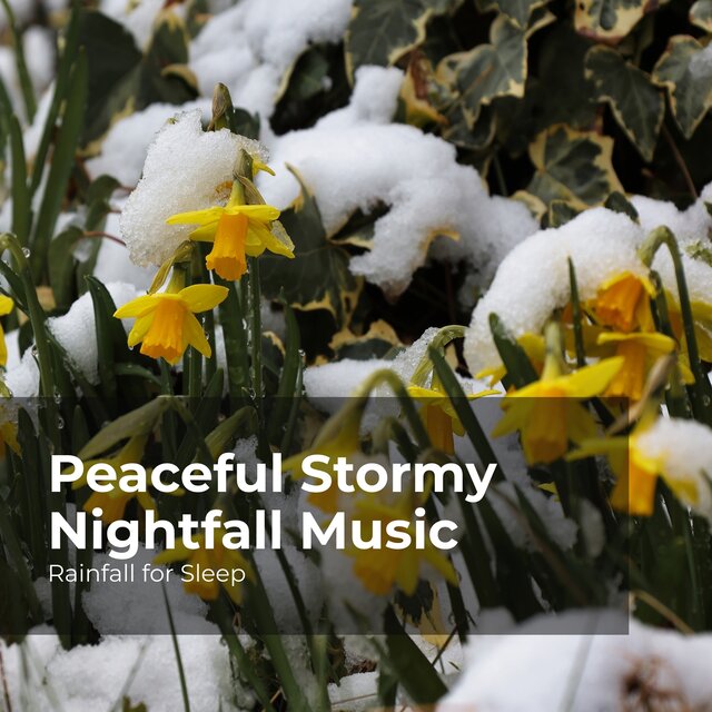 Peaceful Stormy Nightfall Music by Rainfall For Sleep on TIDAL