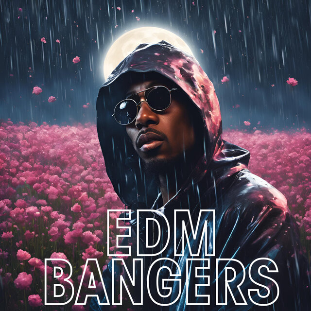 EDM HOUSE BANGERS by EDM REMIX, La Mejor Música Electrónica & EDM on TIDAL