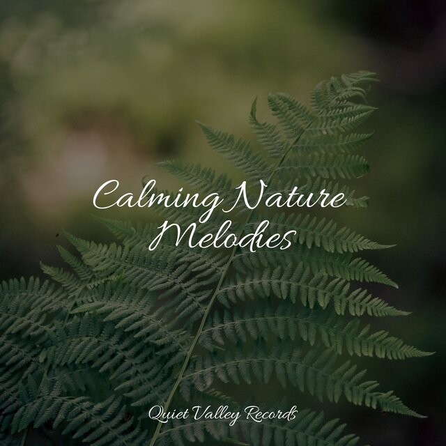 Calming Nature Melodies by Chakra Balancing Sound Therapy on TIDAL