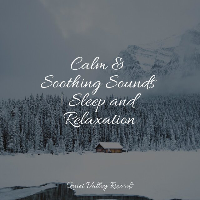 Calm & Soothing Sounds | Sleep and Relaxation by Echoes Of Nature on TIDAL