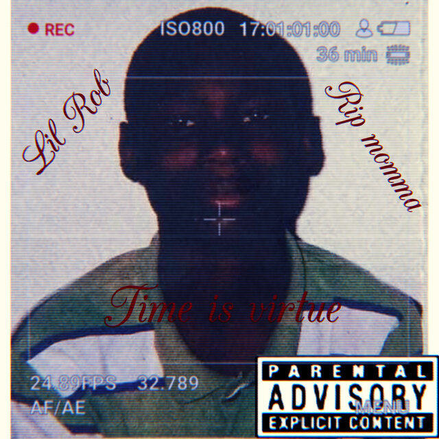 Cortez Shoes Lil Rob