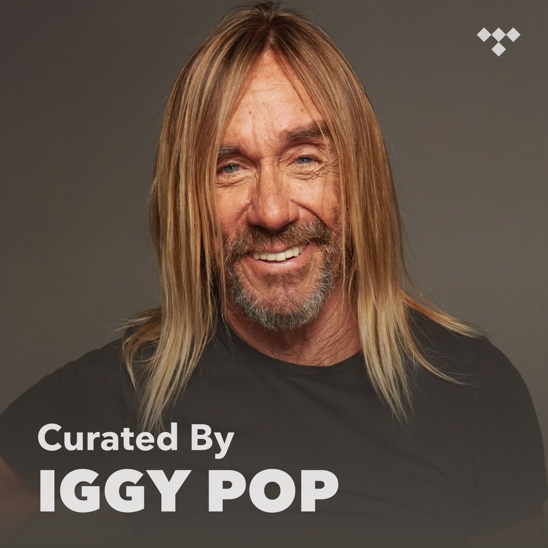 Iggy Pop: Recommends on TIDAL