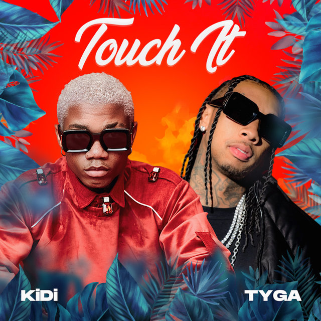 Touch It (Remix) by KiDi & Tyga on TIDAL
