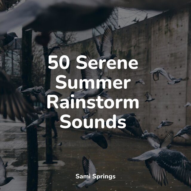 50 Rain Sounds for Yoga and Meditation by Brown Noise on TIDAL