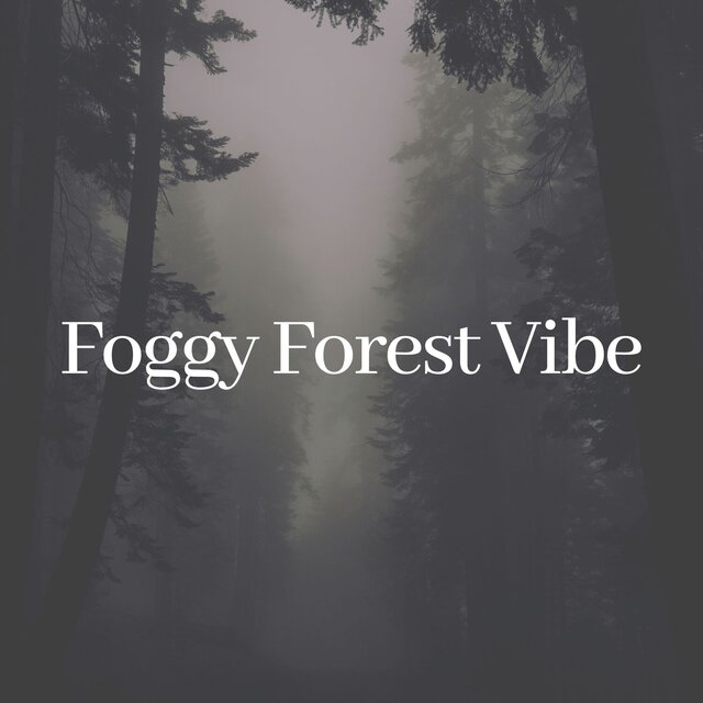 Foggy Forest Vibe, Pt. 10 by Actors of Nature on TIDAL
