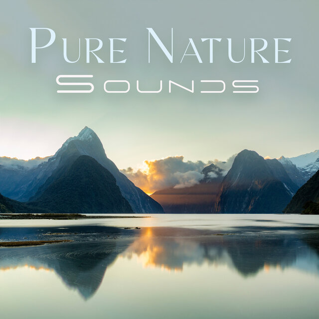 Pure Nature Sounds: Gentle Nature Sounds for Purification for Bad ...