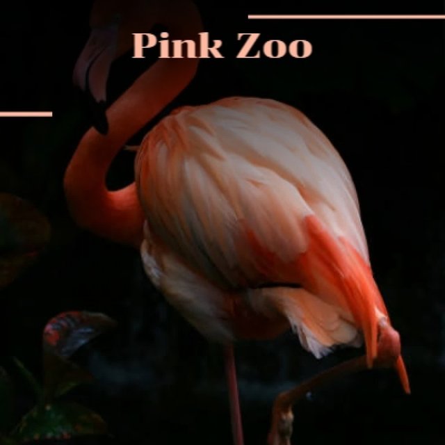 Pink Zoo by Jorgo Keagan on TIDAL