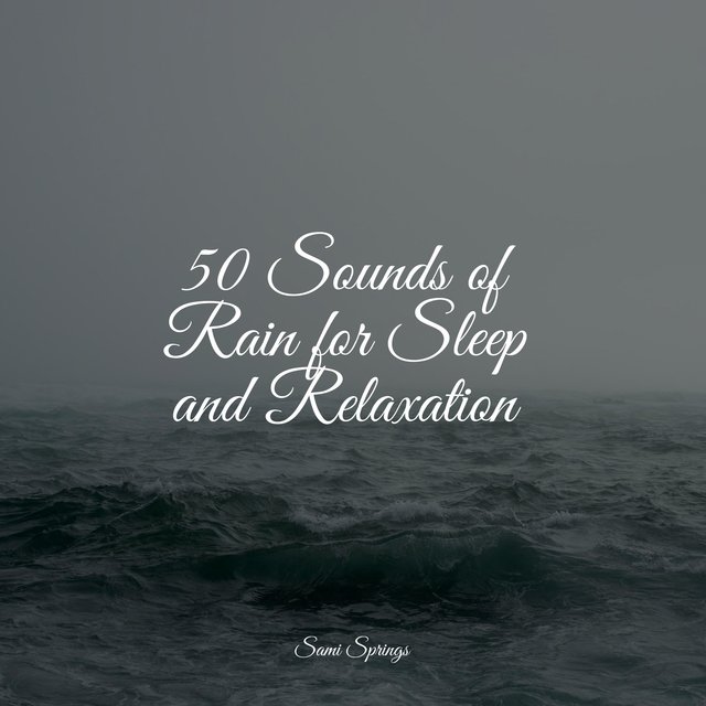 50 Sounds of Rain for Sleep and Relaxation by Meditation Rain Sounds on ...