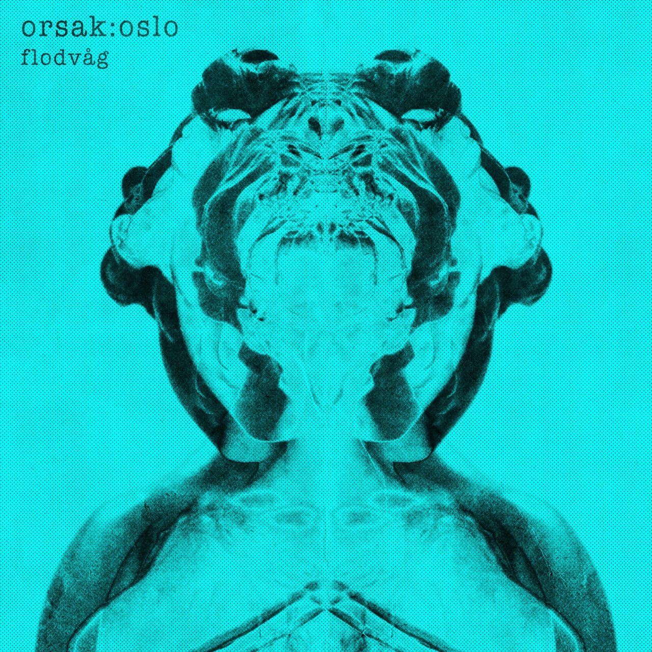 Orsak:Oslo on TIDAL