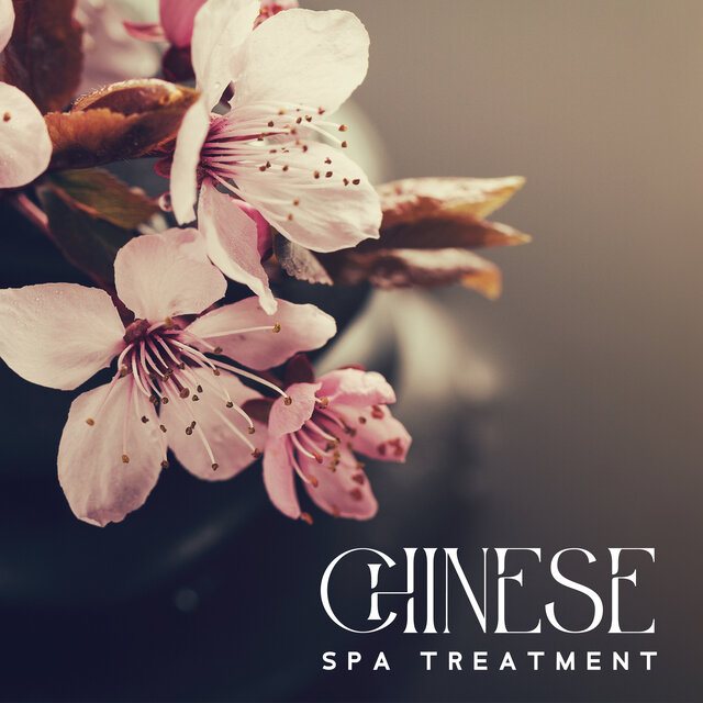 Chinese Spa Treatment: Revitalize Your Body and Mind by Chinese ...