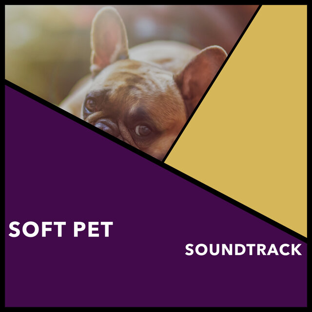 Soft Pet Soundtrack by Dog Chill Out Music on TIDAL