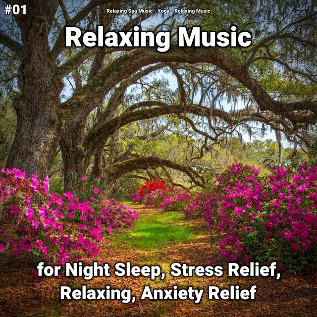 #01 Relaxing Music for Night Sleep, Stress Relief, Relaxing, Anxiety Relief by RELAXING MUSIC on ...