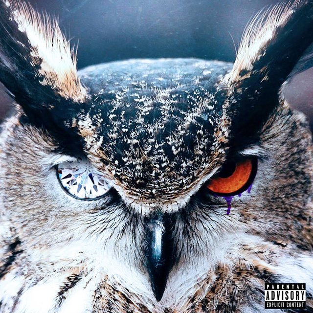 Word to The9 Album by Anderson on TIDAL