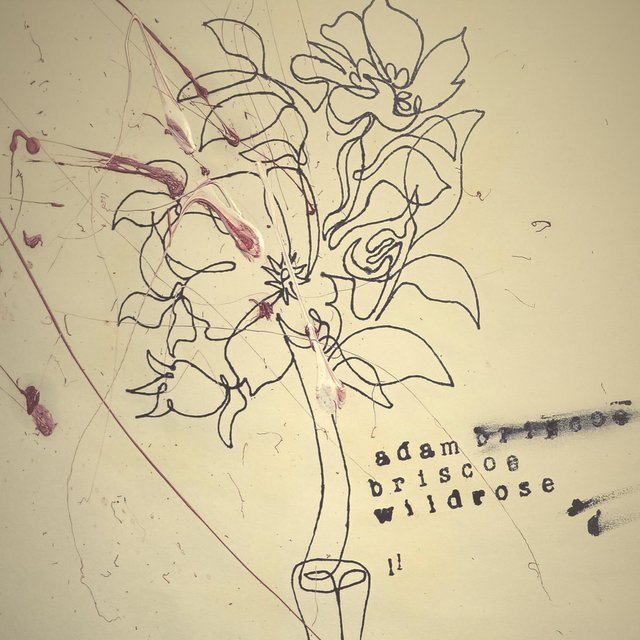 Wild Rose by Adam Briscoe on TIDAL