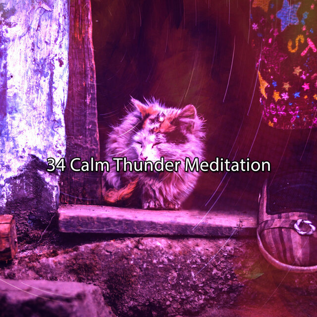 34 Calm Thunder Meditation by Relaxing Rain Sounds on TIDAL