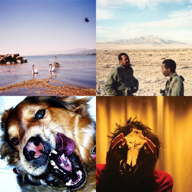 Coma Cinema Posthumous Release