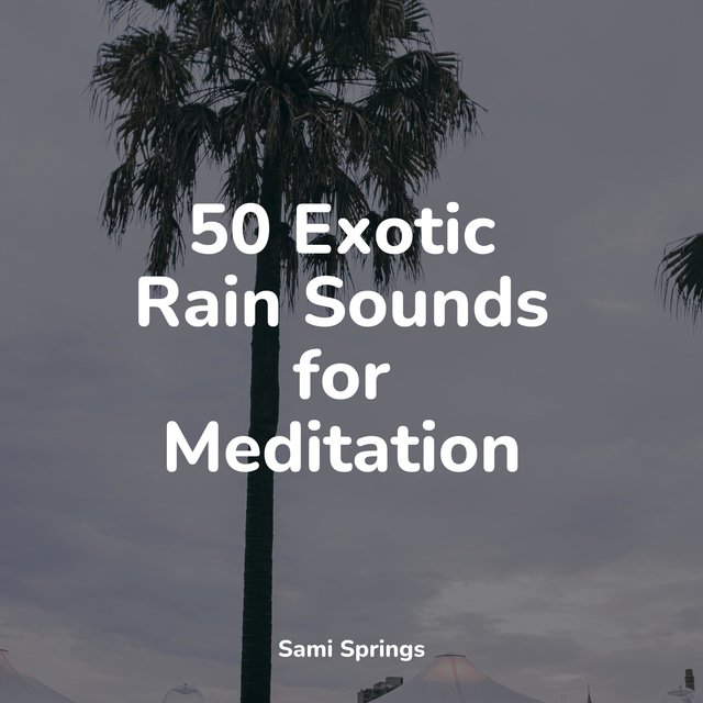 50 Exotic Rain Sounds for Meditation by Baby Lullabies Music on TIDAL