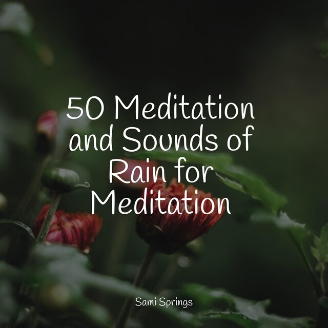 50 Meditation and Sounds of Rain for Meditation by A Sudden Rainstorm ...