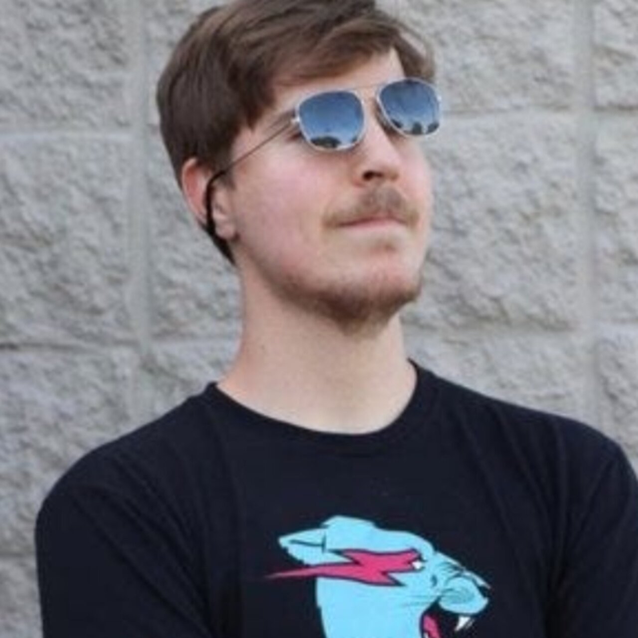 mr beast give me some money by TommyDubz on TIDAL
