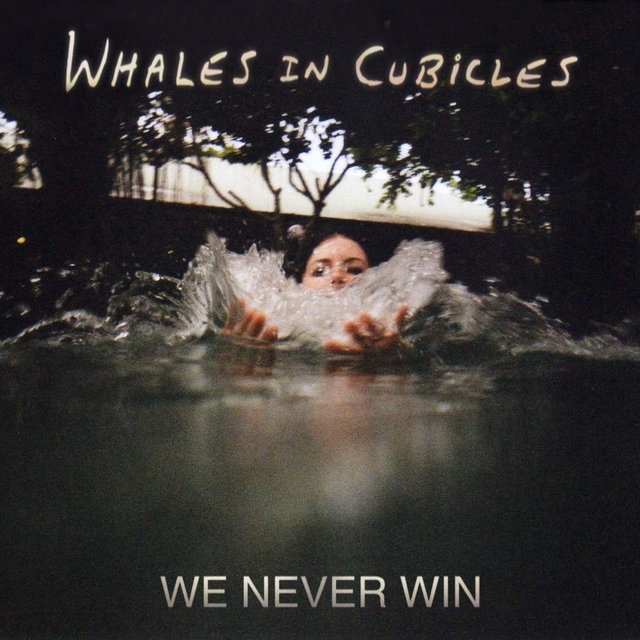 We Never Win / Across America by Whales In Cubicles on TIDAL