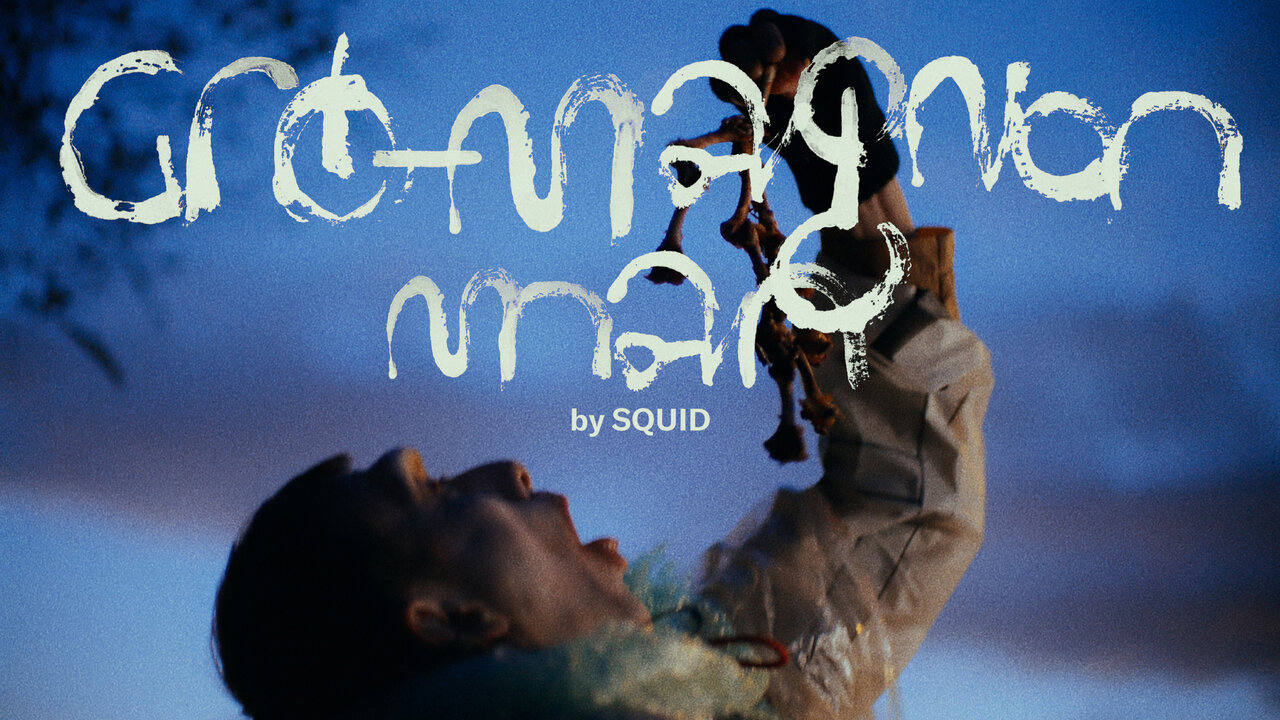Squid on TIDAL