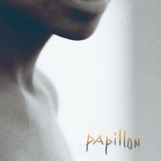 L' instant T. by P a P I L L O N on TIDAL