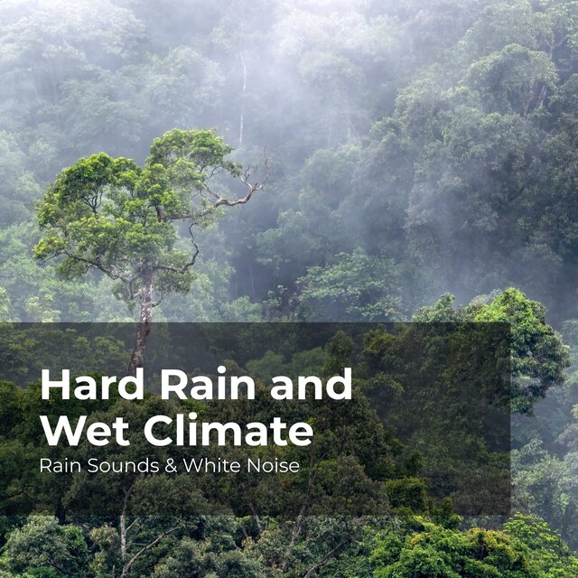 Hard Rain and Wet Climate by Rain Sounds & White Noise on TIDAL